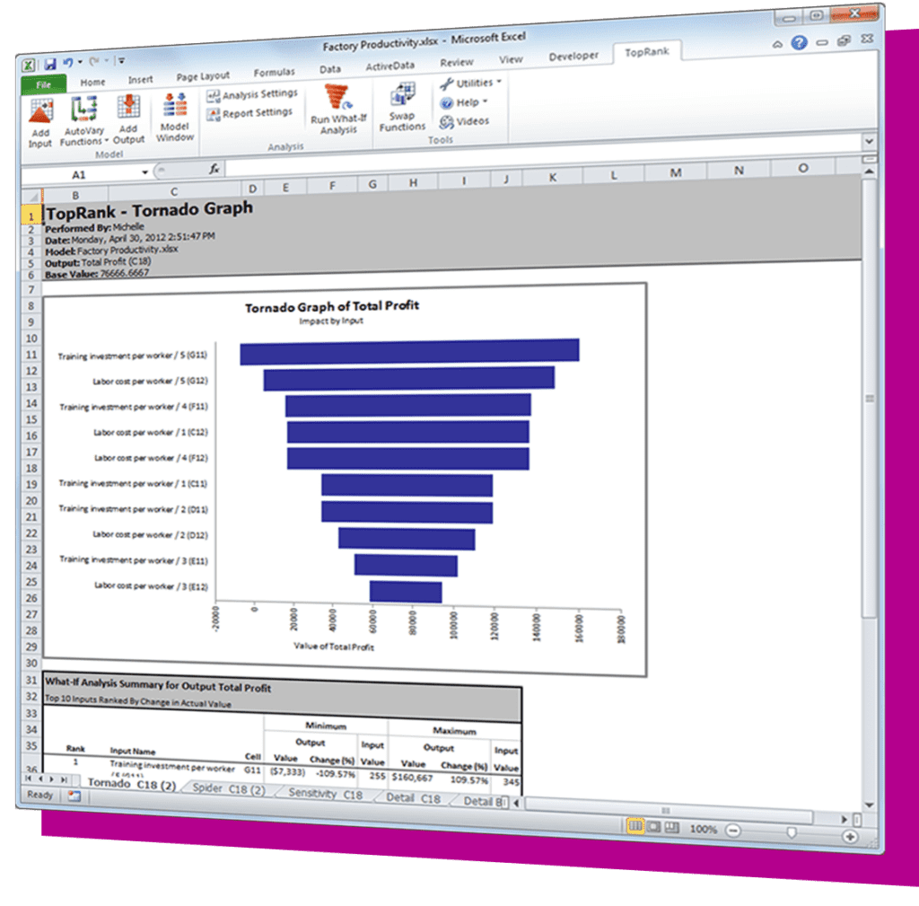 Decision Tools Suite: Advanced Analytics & Risk Management